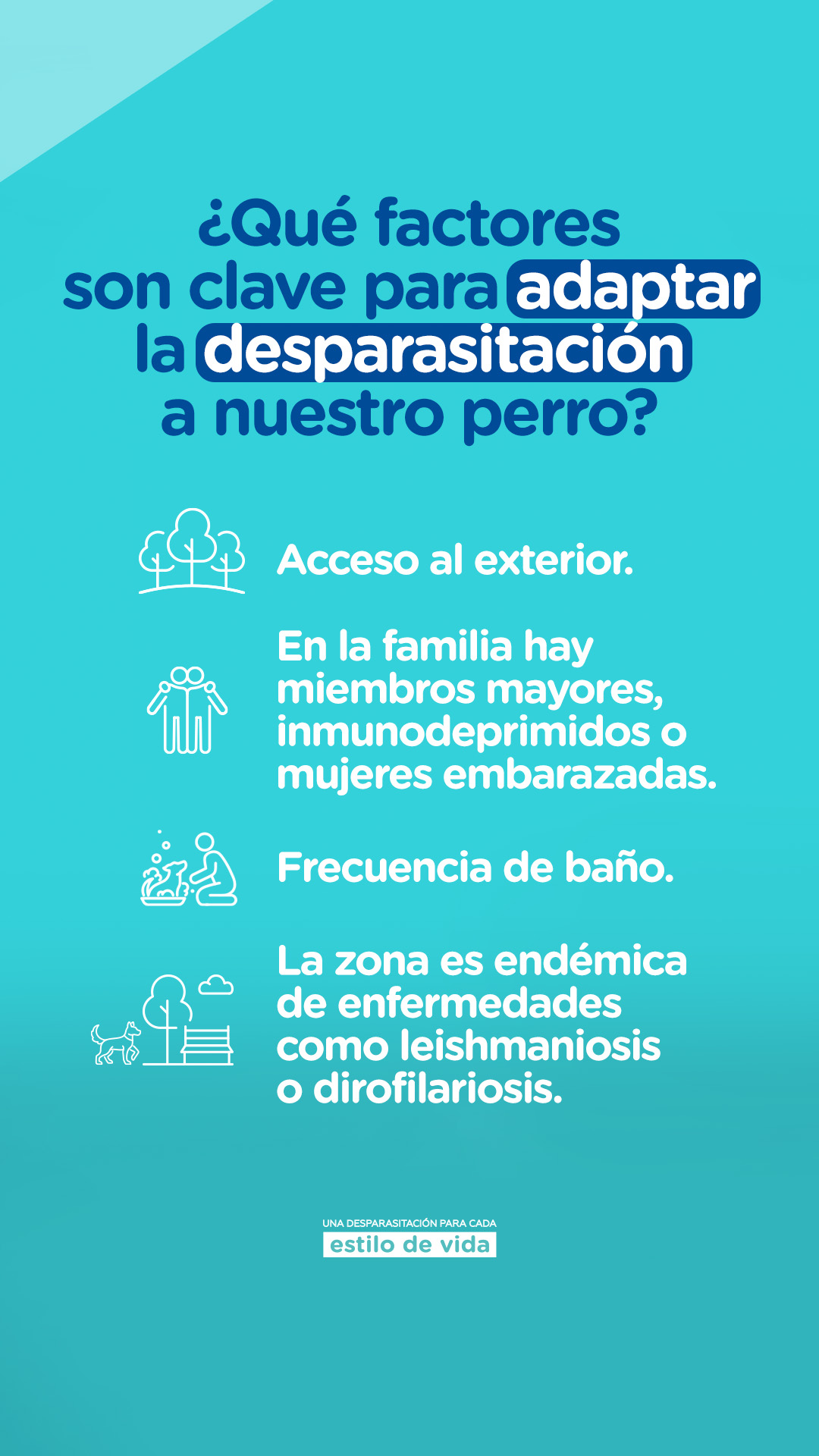 ¿Qué factores son clave para adaptar la desparasitación a nuestro perro ...